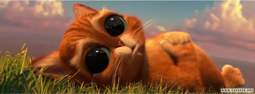 Gato do shrek - Imagui