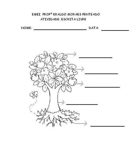 Actividades de las plantas para preescolar - Imagui