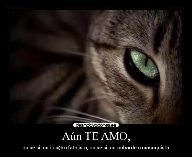 Desmotivaciones de aun te amo - Imagui