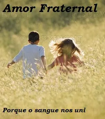 Amor fraternal - Imagui