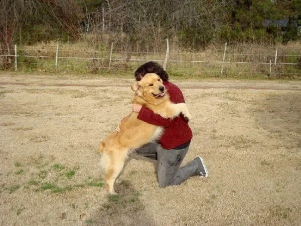 Amor por los perros - Imagui