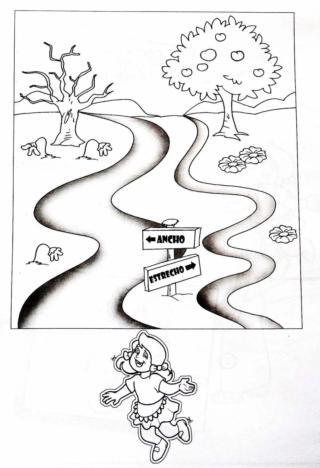 Nocion ancho angosto para niños - Imagui