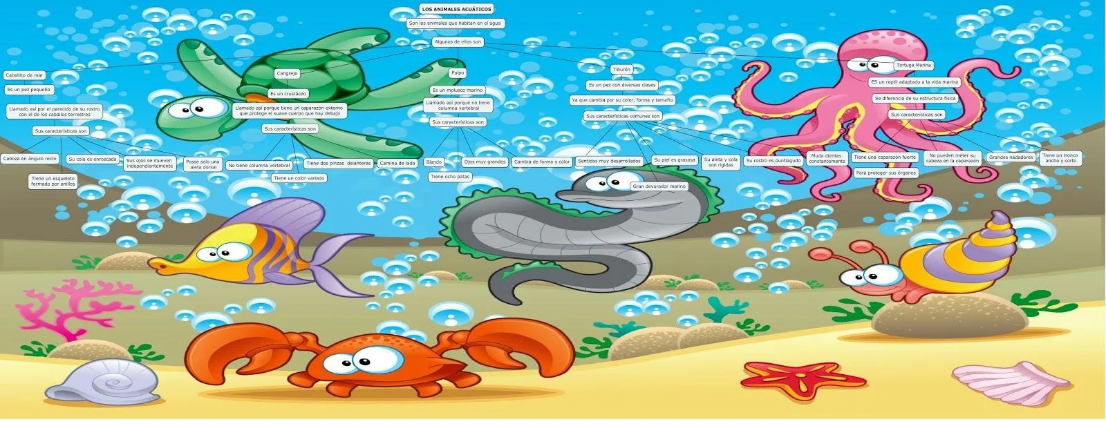 Los animales acuaticos - Imagui