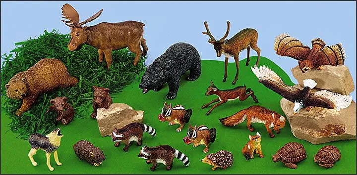 Que animales habitan en el bosque - Imagui