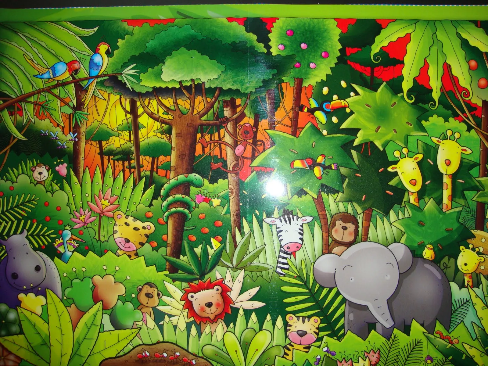 Habitat de los animales de la selva - 6 fotos e imágenes gratis - Imagui