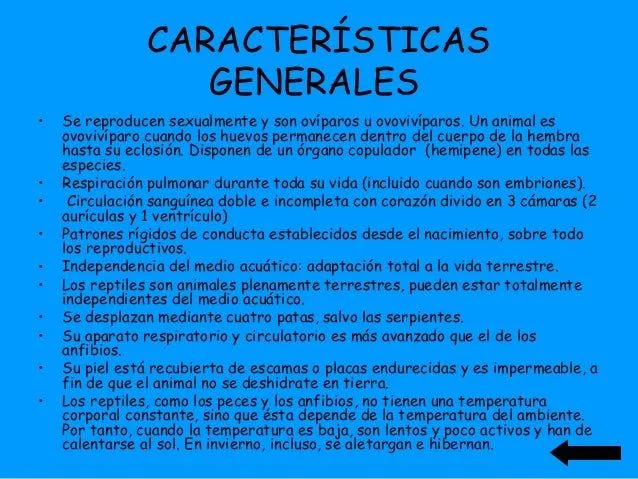 Caracteristicas fisicas de un elefante para niños - Imagui