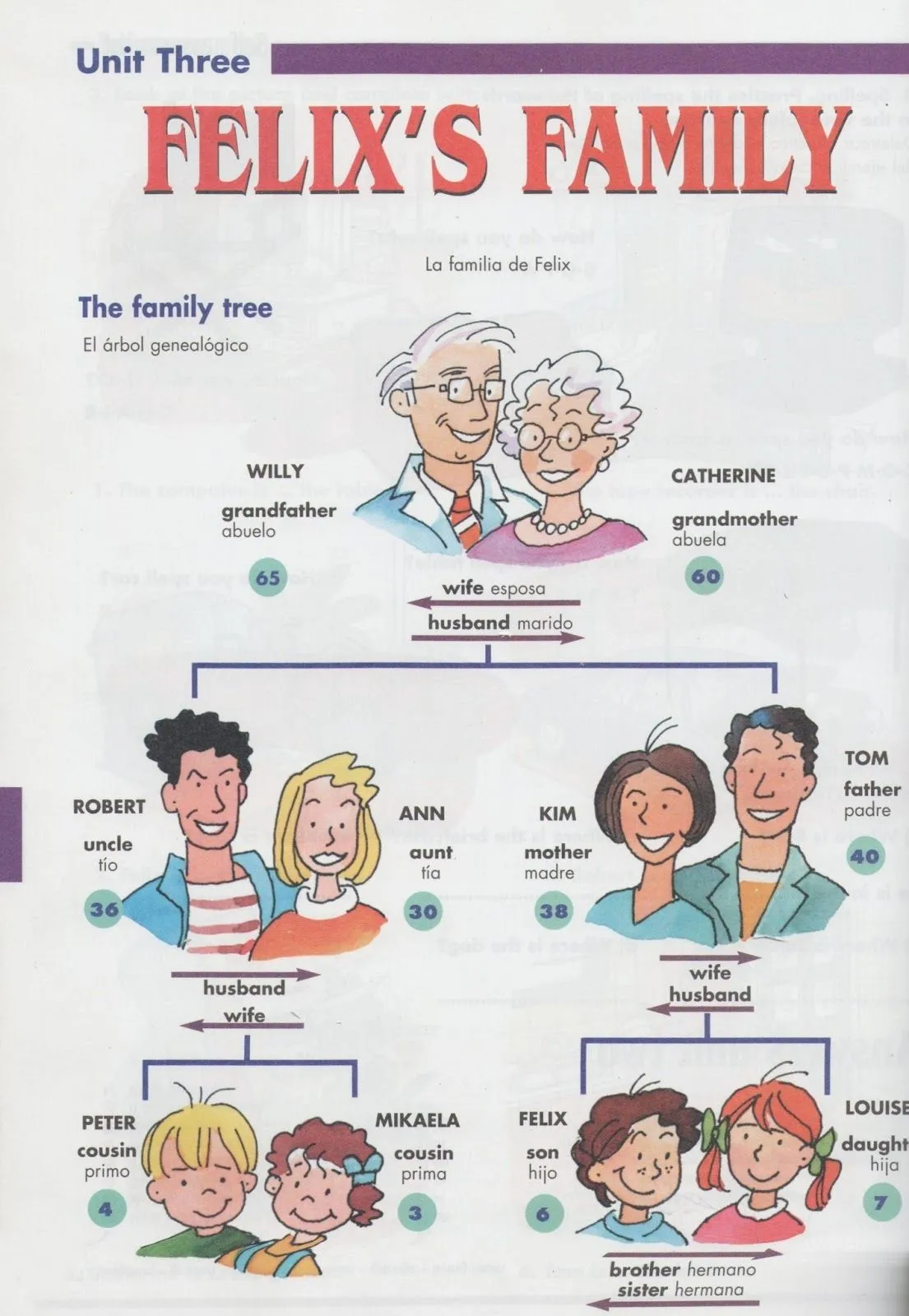 El arbol genealogico en inglés - Imagui