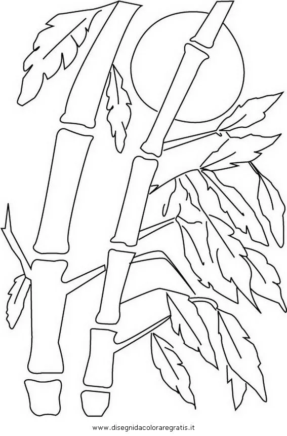 Imágenes de bambú para colorear - Imagui