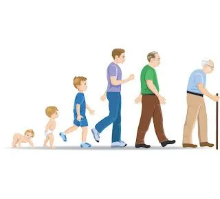 Imágenes de etapas del desarrollo humáno para colorear - Imagui