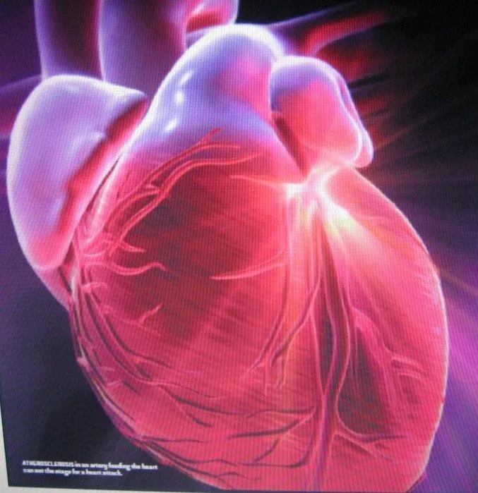 Gif del corazon humano - Imagui