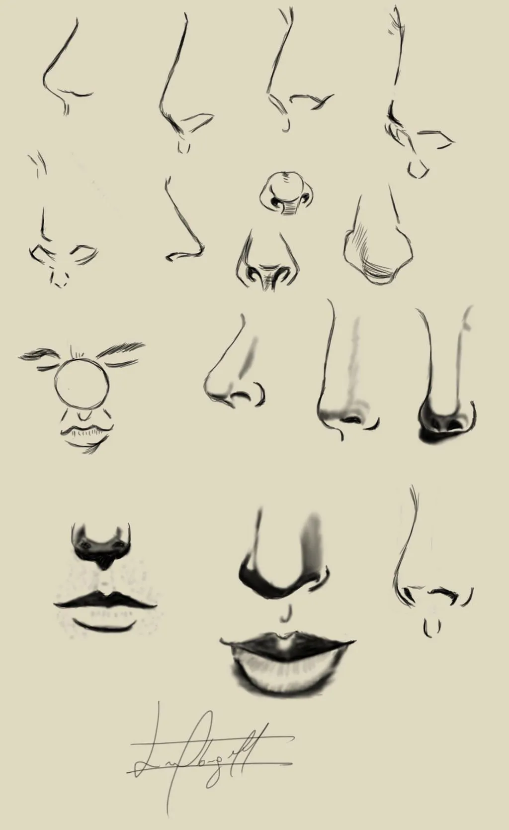 Bocetos de nariz - Imagui