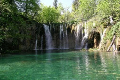 Lago bosque - Imagui