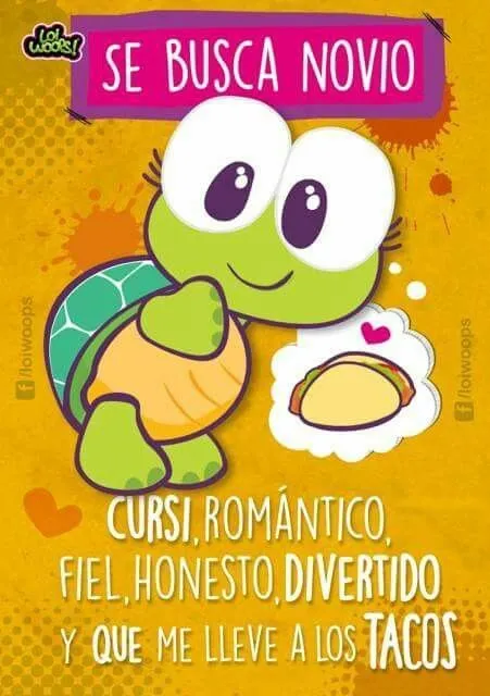 Imagenes de se busca novio - Imagui