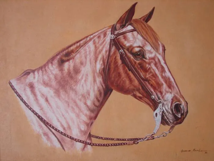 Cabezas de caballo maricel piazza - Imagui