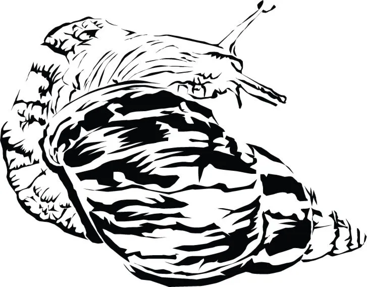 Vectorizado - Imagui