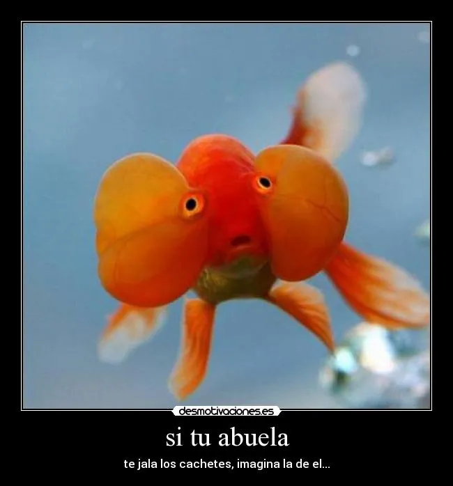 Imagenes de cachetes - Imagui