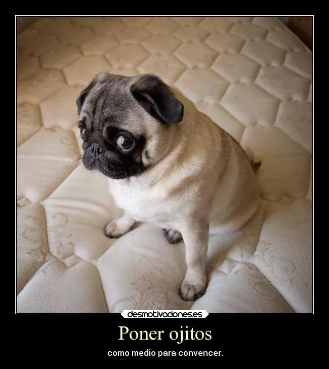 Imagenes ojitos - Imagui