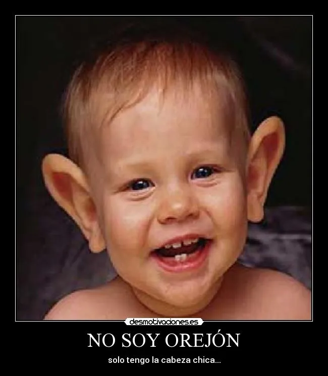 Animales orejones - Imagui