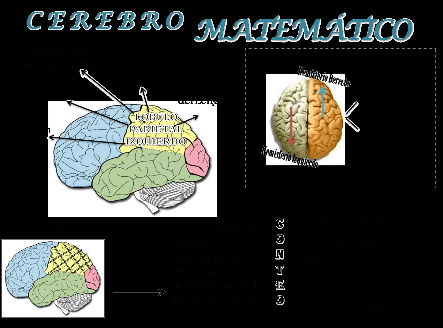 Matemáticas para adolescentes - 3 fotos e imágenes gratis - Imagui