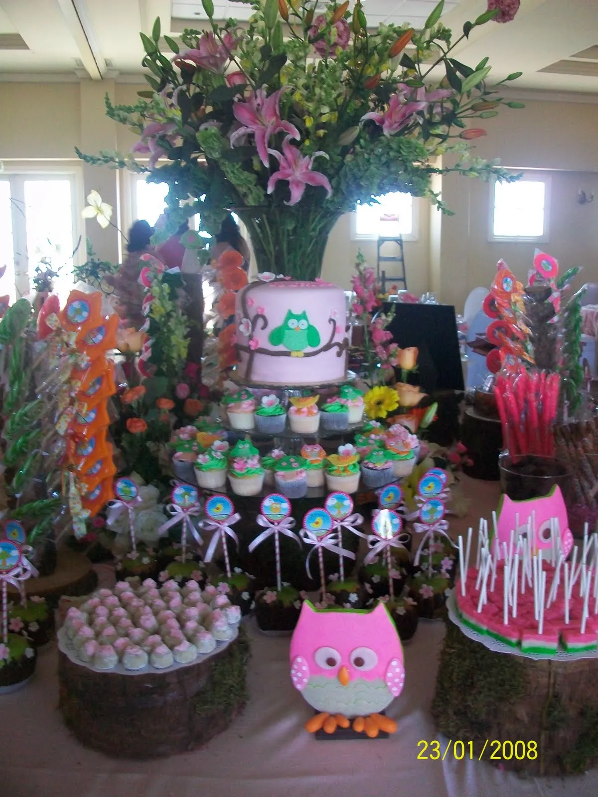 Baby shower búhos de decoración - Imagui