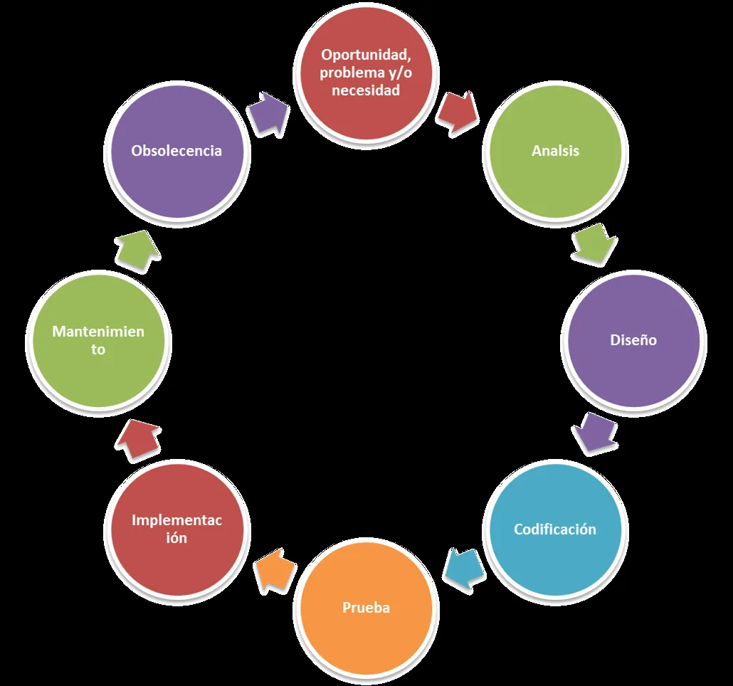 Ciclo vital humano - Imagui