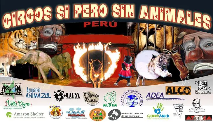 Animales del circo - Imagui