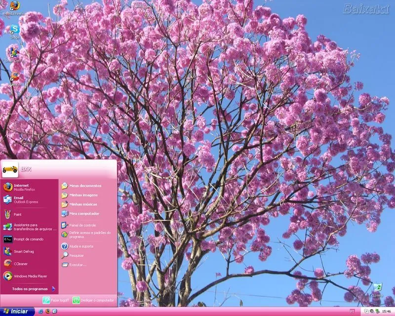 Temas rosas - Imagui