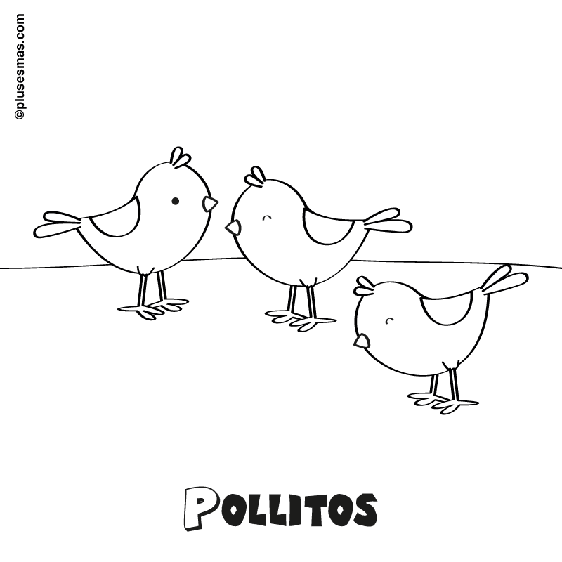 Dibujos para colorear de pollitos - 14 fotos e imágenes gratis - Imagui