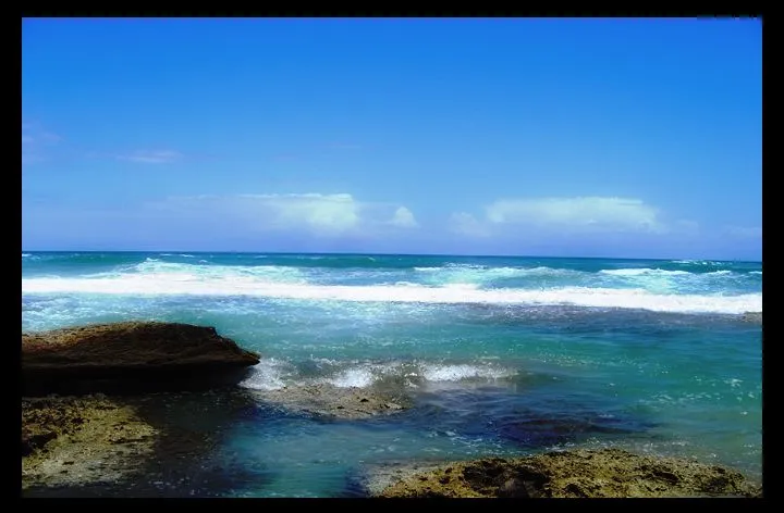 Colores marinos - Imagui