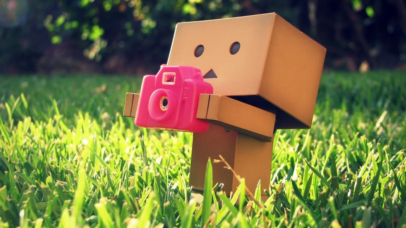 Danbo wallpaper - Imagui