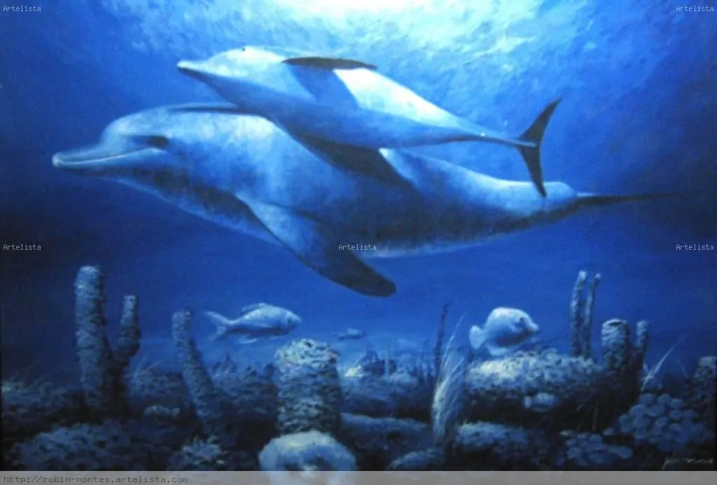 Delfines pinturas - Imagui