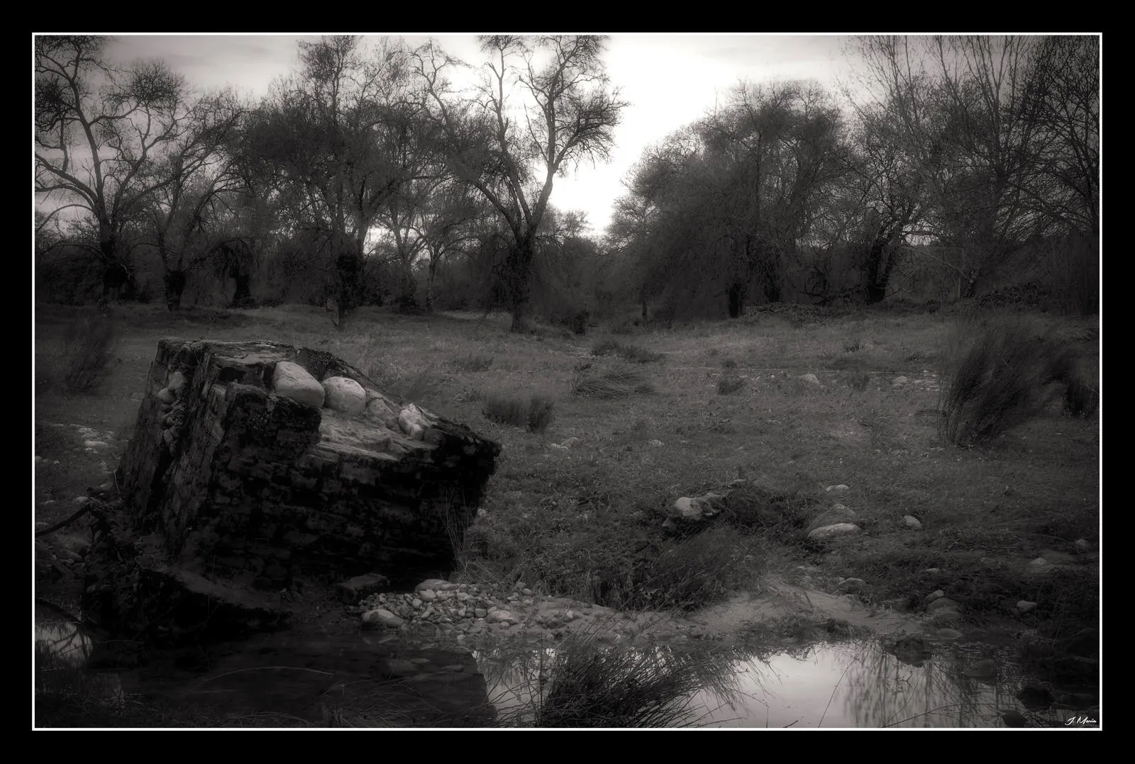 Imágenes de paisajes tristes - Imagui