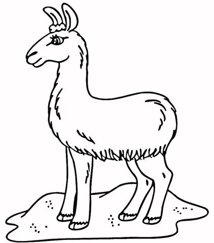 Imagenes de llamas para colorear - Imagui