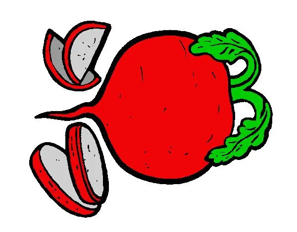 Dibujo de una remolacha - Imagui