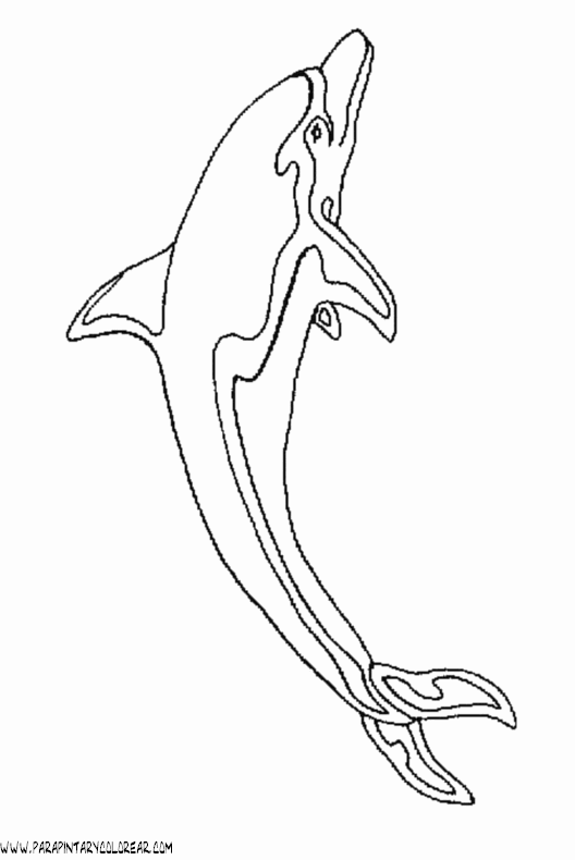 Fotos dibujos delfines - Imagui