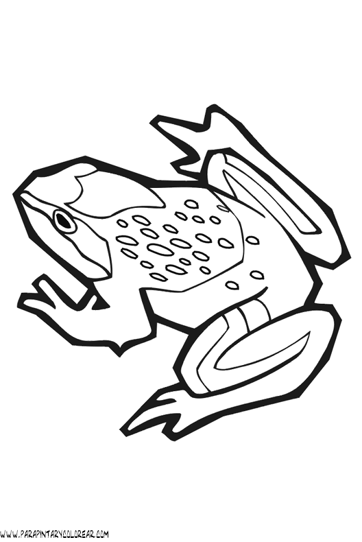 Ranas dibujos - Imagui
