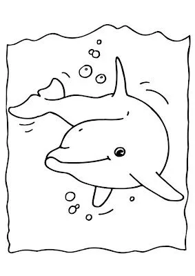 Delfín para colorear preescolar - Imagui