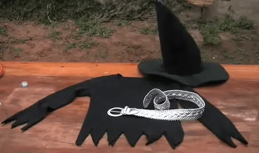 Disfraces De Bruja Caseros Imagui