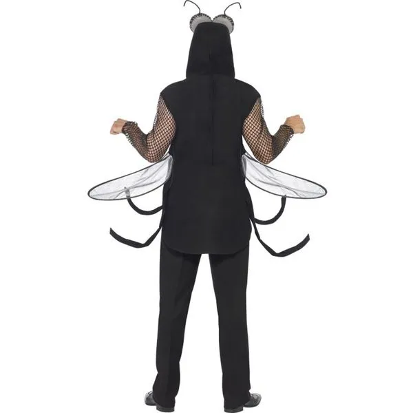 Mosca disfraz - Imagui