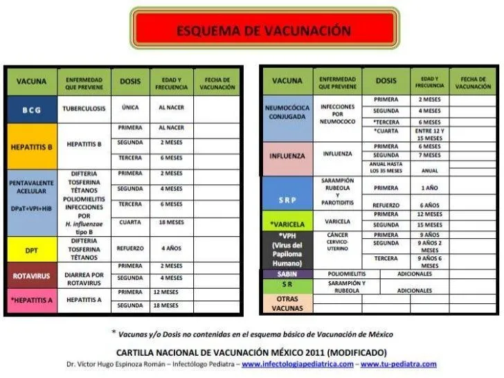Esquema Nacional De Vacunacion Imagui