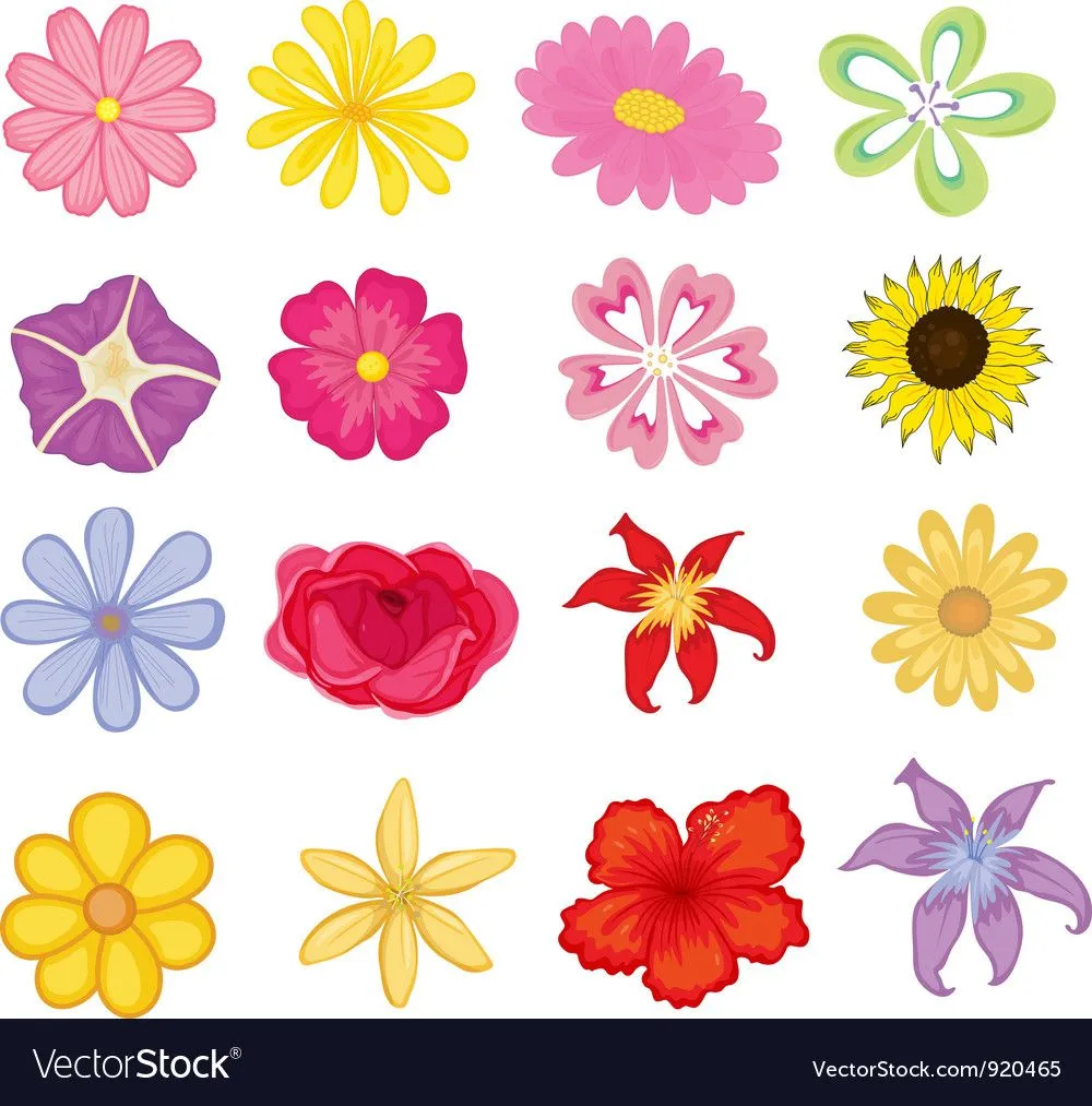 Flowers vector - Imagui