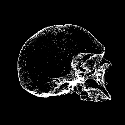 Calaveras GIF con movimiento - 11 fotos e imágenes gratis - Imagui