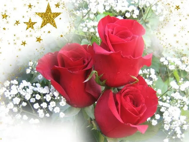 Fondos de rosas en movimiento - Imagui