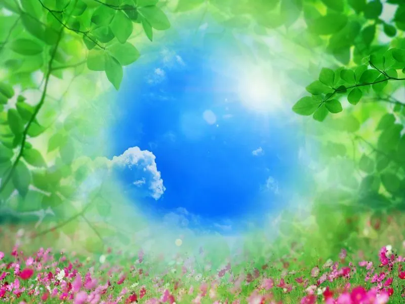 Fondos floral - Imagui