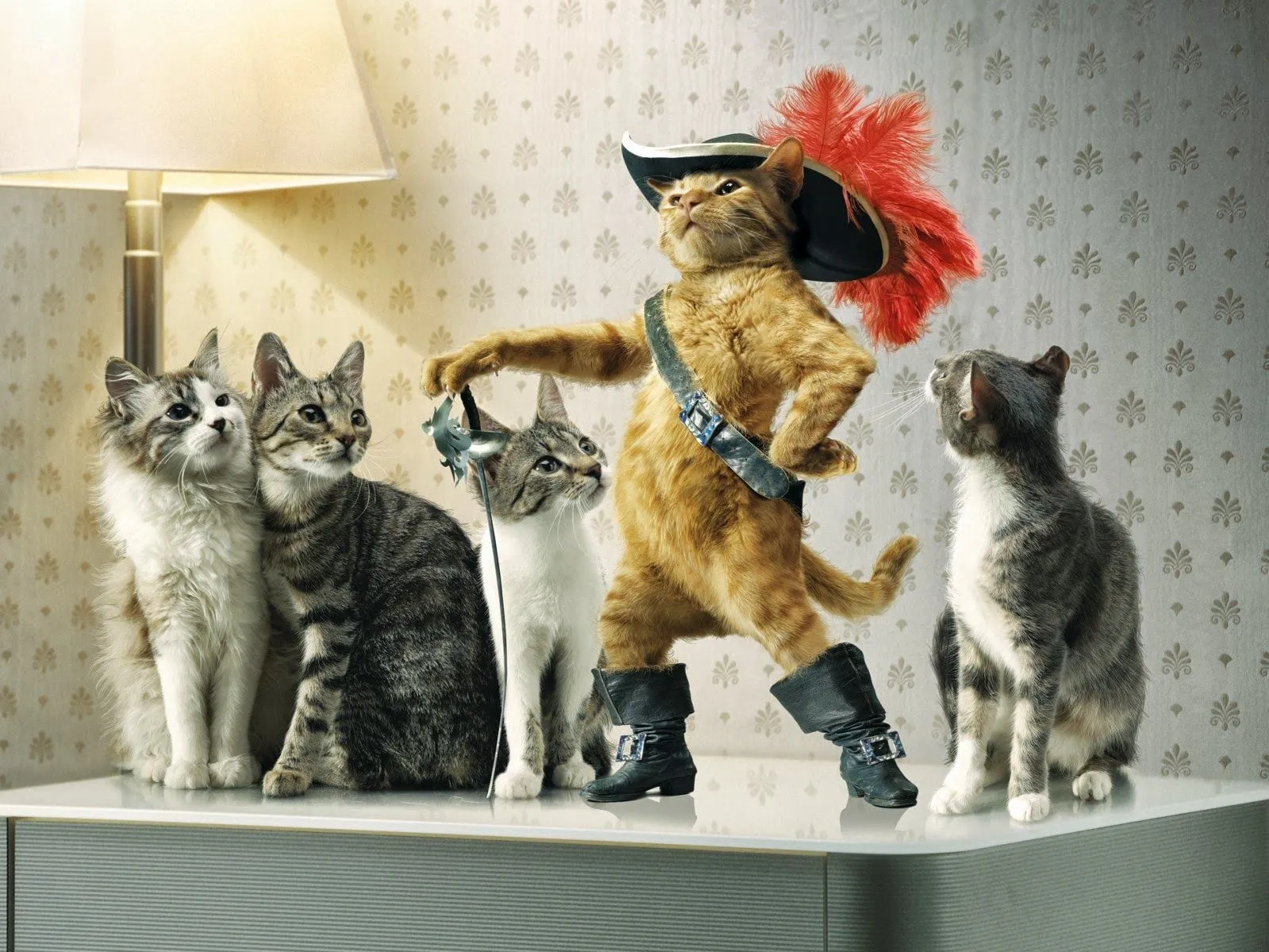 Imágenes HD del Gato con Botas - 8 fotos e imágenes gratis - Imagui