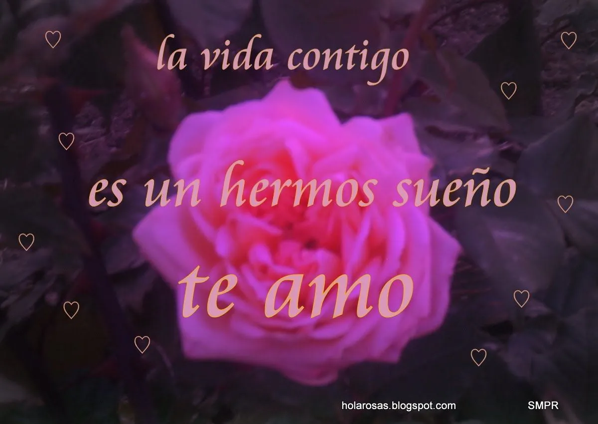 Rosas con frases - Imagui