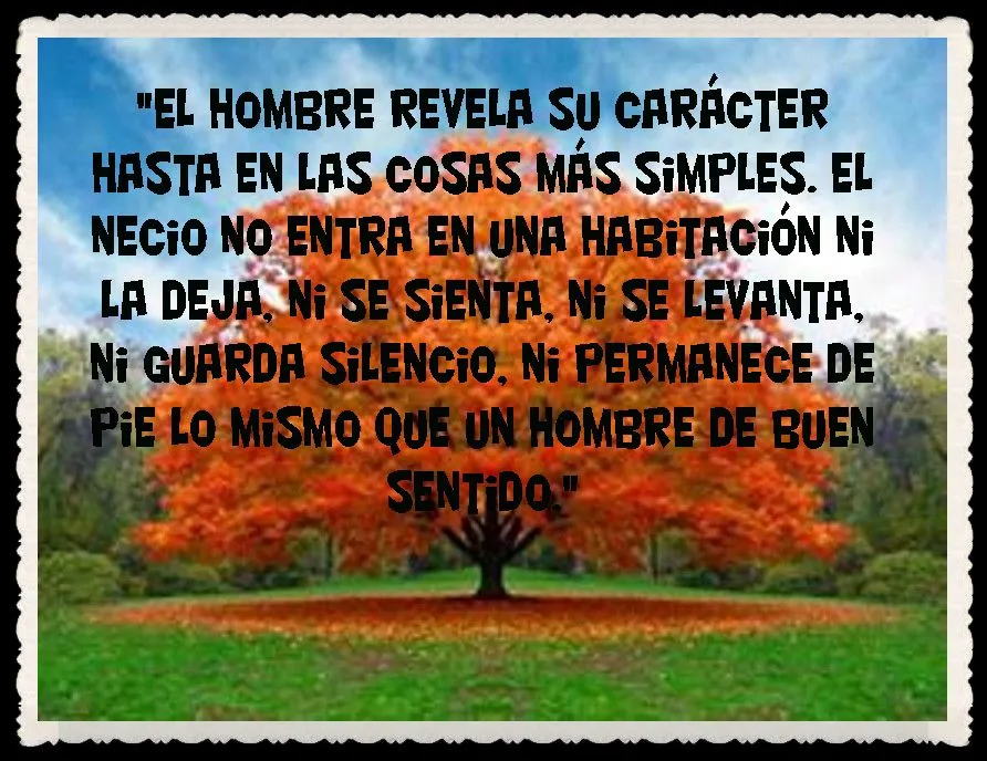 Imagenes bonitos - Imagui