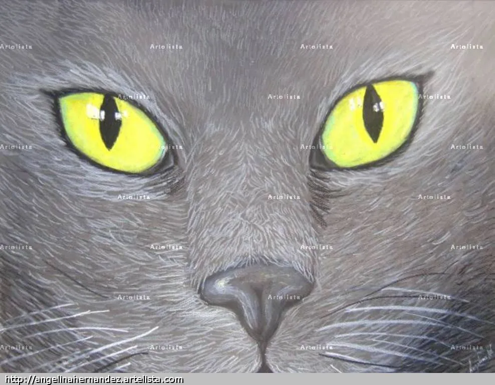Cuadros de gatos al pastel - 18 fotos e imágenes gratis - Imagui