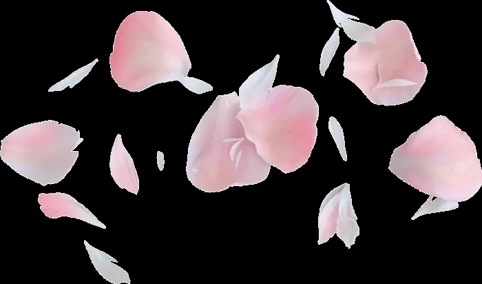 PETALOS DE ROSAS GIFS - Imagui