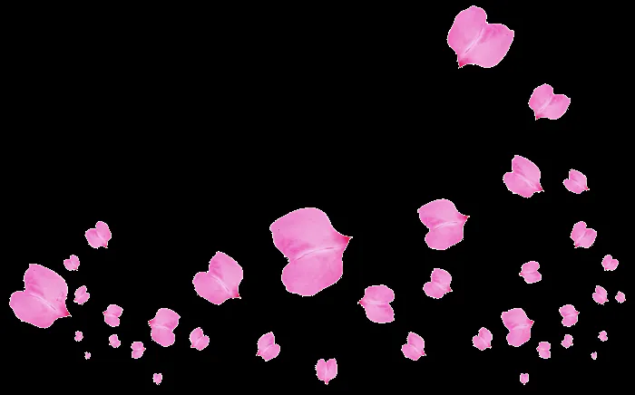 PETALOS DE ROSAS GIFS - Imagui
